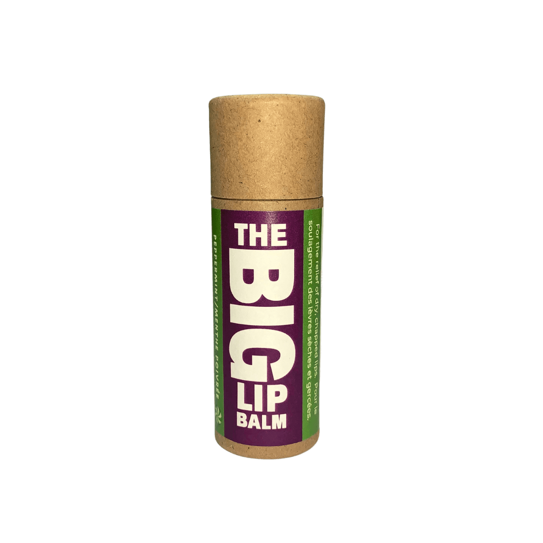 The BIG Lip Balm - 16 g – Skin RnR